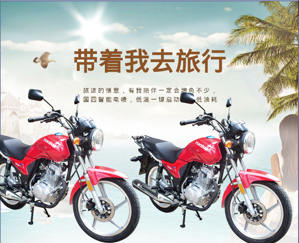 豪爵牌赛驰翼爽迪爽款HJ125-23A男装跨骑燃油摩托车125省油耐用-阿里巴巴