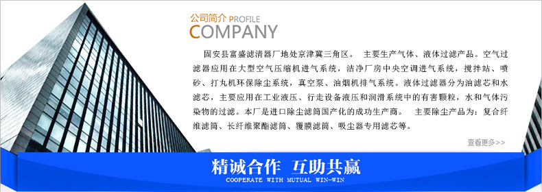 供应LAF6116 P611698 P616056 P611696 83456 AF27688空气滤芯-阿里巴巴