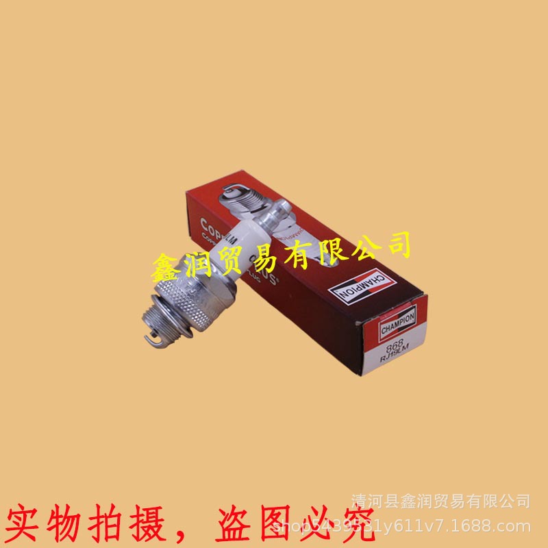 美国冠军火花塞RZ7C/N9YC/RJ19LM/CJ6Y两/四冲程水泵绿篱机割灌机-阿里巴巴