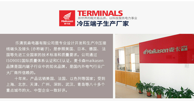 UL认证RNB系列1-38冷压裸端子OT型接线端子紫铜圆形裸端子-阿里巴巴