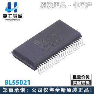 BL55021 型TN/STN液晶控制 驱动IC 55021 SSOP48-阿里巴巴