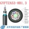 太平洋光缆 GYFTZA53-8B1 8芯单模光纤 非金属阻燃铠装光缆 直埋-阿里巴巴