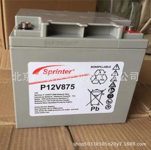 美国Sprinter蓄电池XP12V3000 GNB免维护蓄电池12V-100AH含税-阿里巴巴