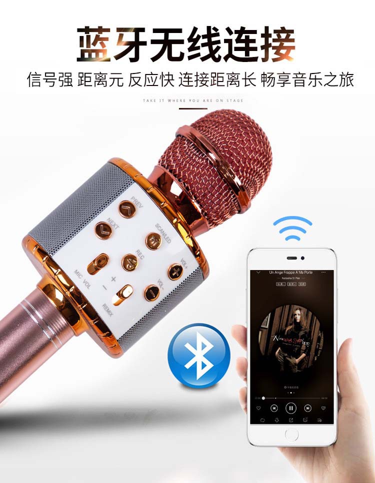 WS858L带灯话筒音响一体无线蓝牙麦克风家庭k歌宝手机k歌手持音箱-阿里巴巴