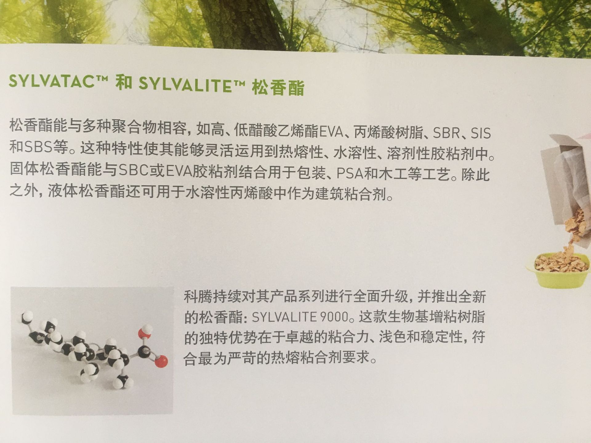 科腾松香酯SYLVALITE RE 80HP-阿里巴巴