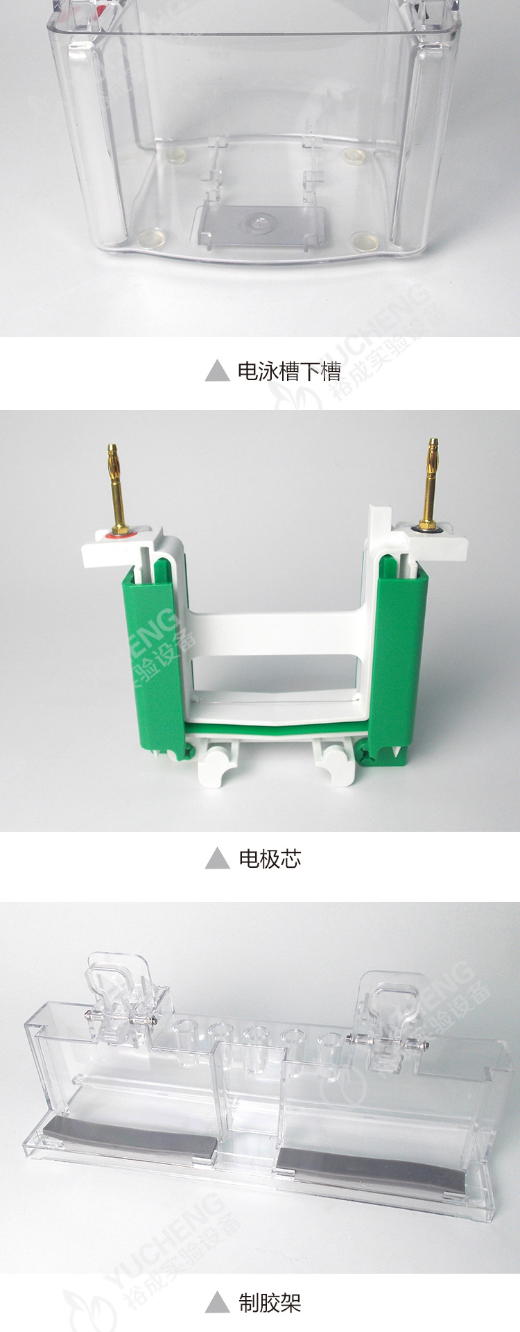 通用Bio-Rad伯乐Mini-ProteanTetra小型垂直电泳槽2块胶含制胶架-阿里巴巴