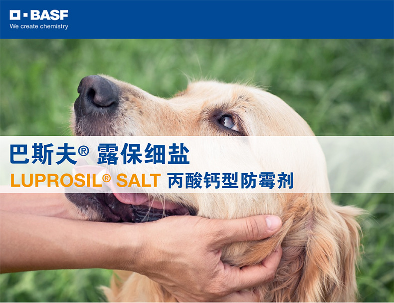 巴斯夫BASF露保细盐LUPROSIL SALT丙酸钙型饲料保藏剂防霉剂-阿里巴巴