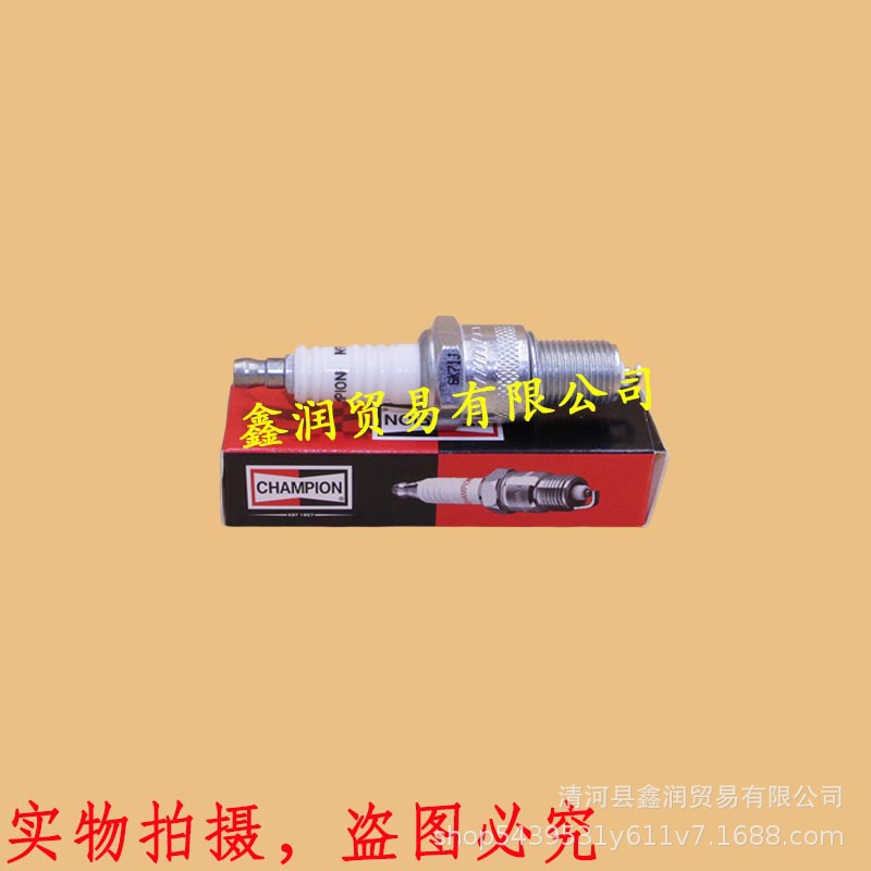 美国冠军火花塞RZ7C/N9YC/RJ19LM/CJ6Y两/四冲程水泵绿篱机割灌机-阿里巴巴