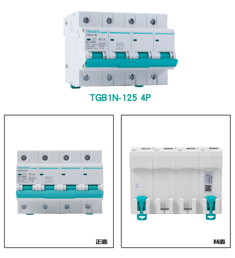 天正TGB1N-125 C63/80/100/125A小型断路器1P2P3P4P空气开关DZ47-阿里巴巴