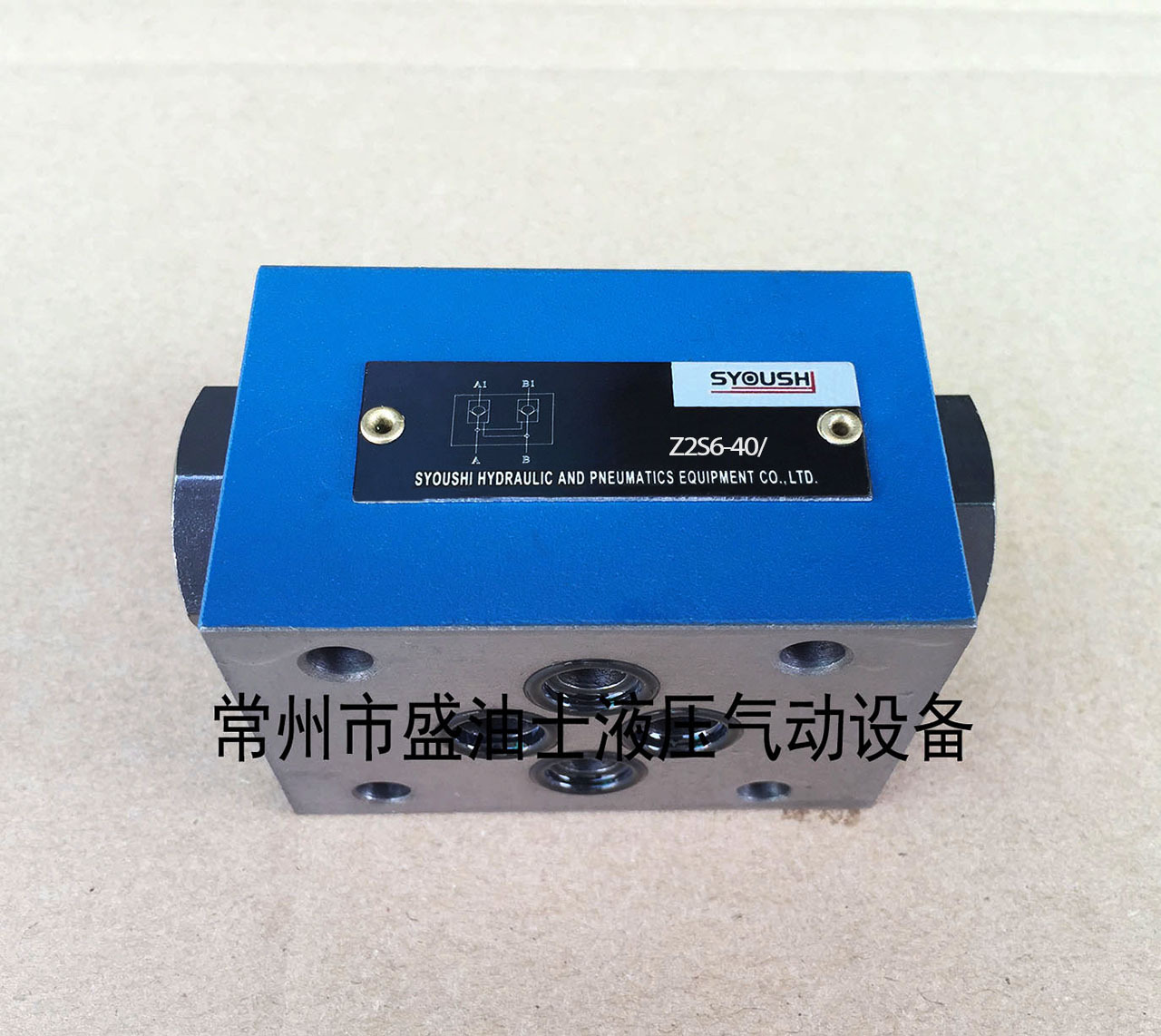 液控单向阀Z2S6-40 Z2S6A-40B Z2S6A-40 Z2S6-1-40B现货保压阀-阿里巴巴