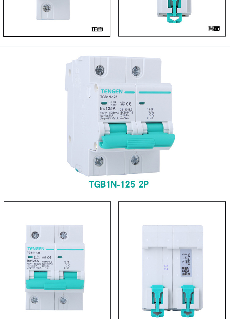 天正TGB1N-125 C63/80/100/125A小型断路器1P2P3P4P空气开关DZ47-阿里巴巴