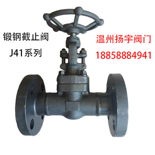 浙江扬宇阀门批发 国标日美标锻钢法兰截止阀J41H-16 25 40C A105-阿里巴巴