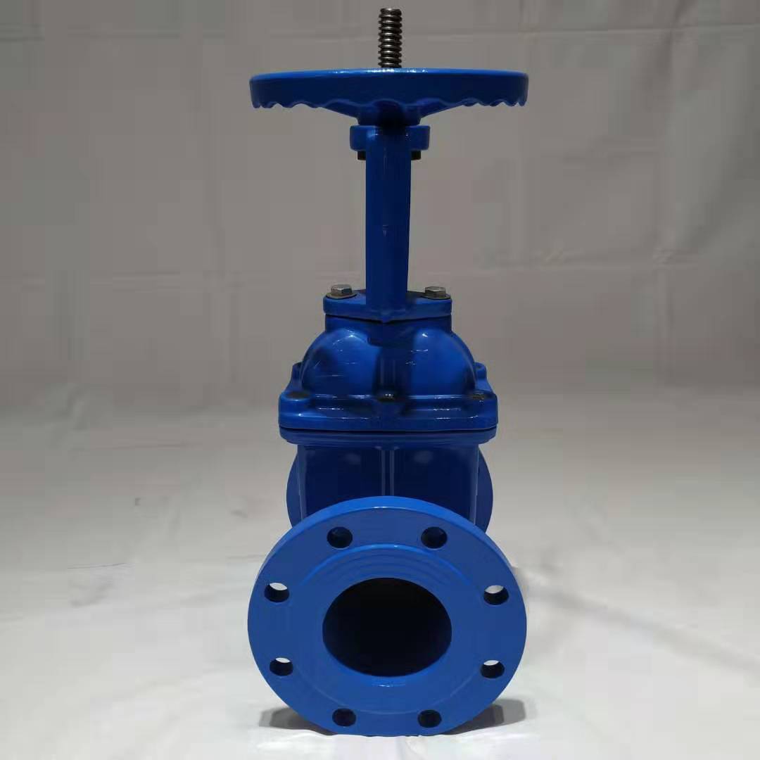 阀门 明杆闸阀 Z41X-16 法兰闸阀 软密封闸阀 DN100 DN150 闸阀-阿里巴巴