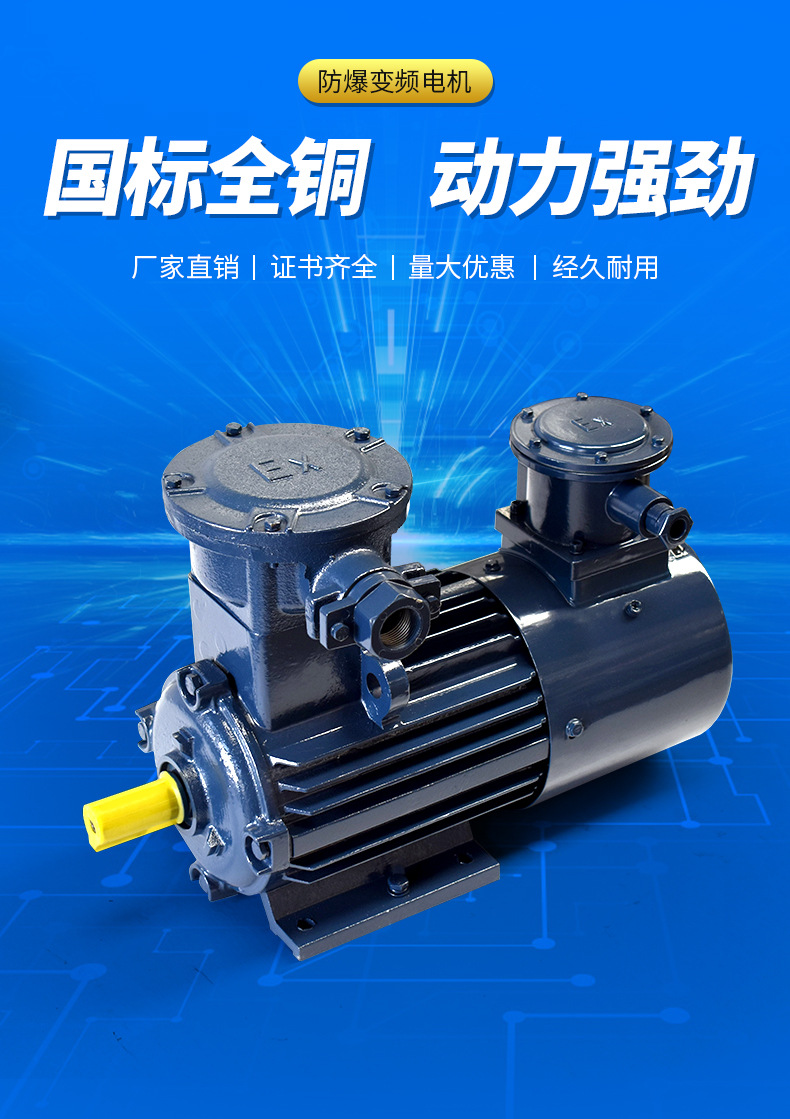防爆变频电机YBBP-100L-2 3KW隔爆型变频三相异步电动机 IP55-阿里巴巴