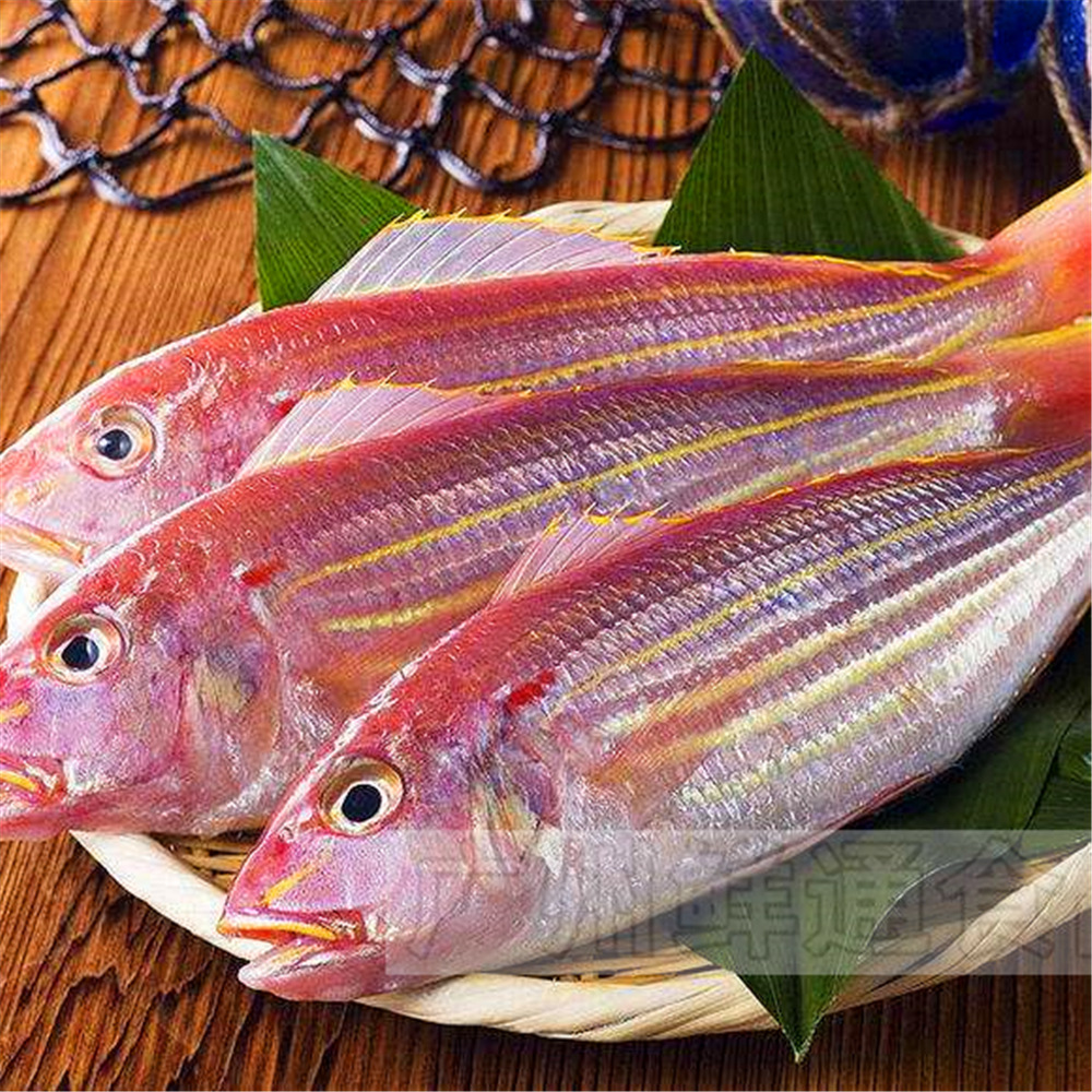 一点红是海鱼吗,一点红是什么鱼种,红鱼有多少种图片(第2页)_大山谷图库