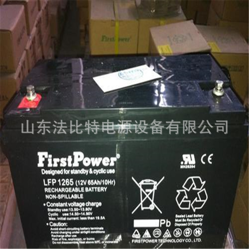 上海一电阀控式蓄电池LFP12100免维护12V100AH通讯机房 LFP12100-阿里巴巴