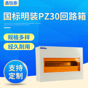 国标明装pz30配电箱 多回路不锈钢配电箱 pz30终端箱照明箱布线箱-阿里巴巴
