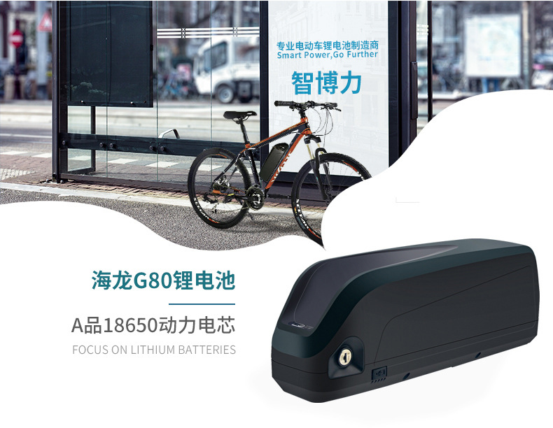 跨境36V20AH电动车锂电池48V海龙G80 plus款批发山地自行车锂电池-阿里巴巴