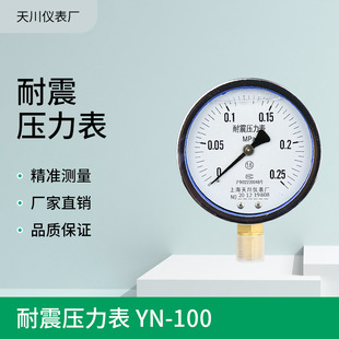 YN-100耐震压力表1.6MPa25公斤油压表 真空充油压力表 负压STCIF-阿里巴巴