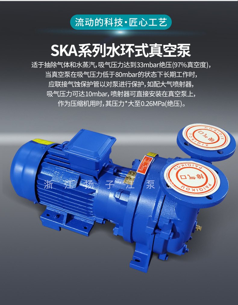 供应2BV水环式真空泵,SKA抽气泵 304不锈钢可选配防爆电机-阿里巴巴