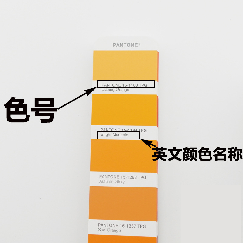2020新版纺织服装家居用PANTONE潘通色卡TPG色卡TPX色卡国际标准-阿里巴巴