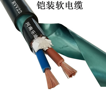 RVV22 2X2.5平方铠装软电缆za-kvvr22 纯铜电源控制线rvvz通讯线-阿里巴巴