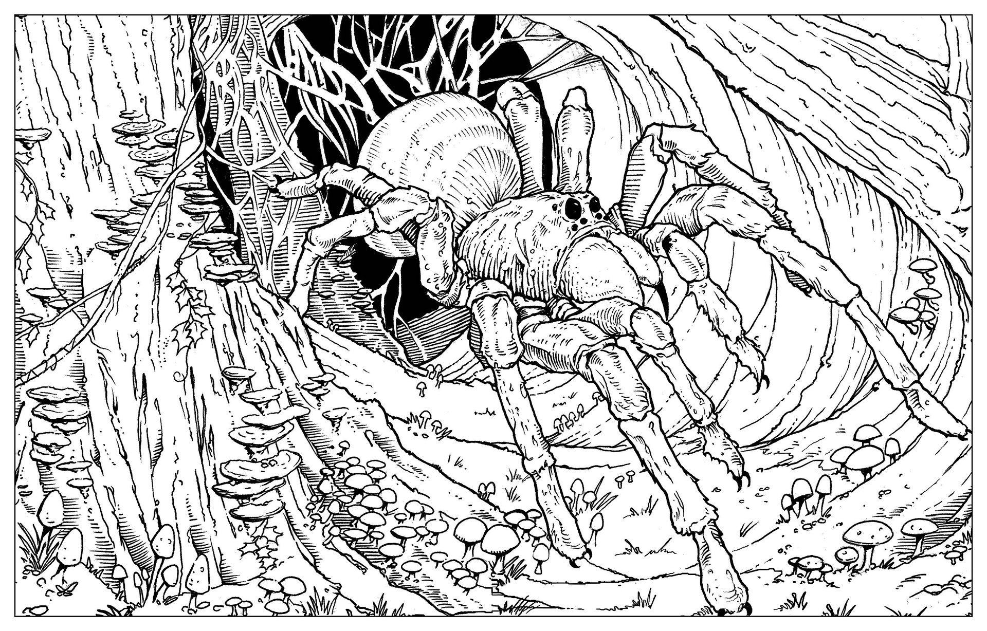 英文版harry potter哈利波特涂色书成人减压解压填色书涂鸦绘画本-阿里巴巴