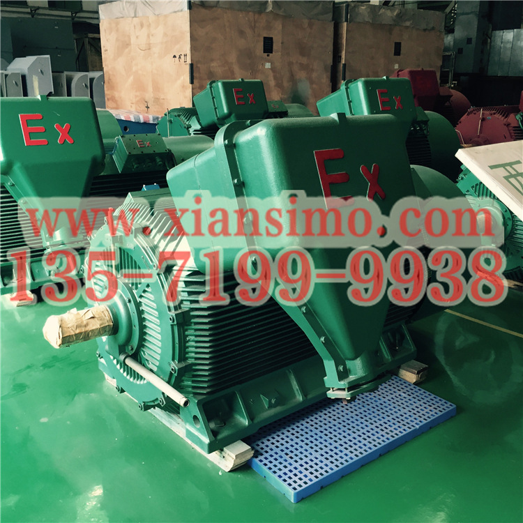 西玛电机YB2-4504-4 710KW 6KV IP54 ExdⅡBT4 Gb隔爆型防爆电机-阿里巴巴