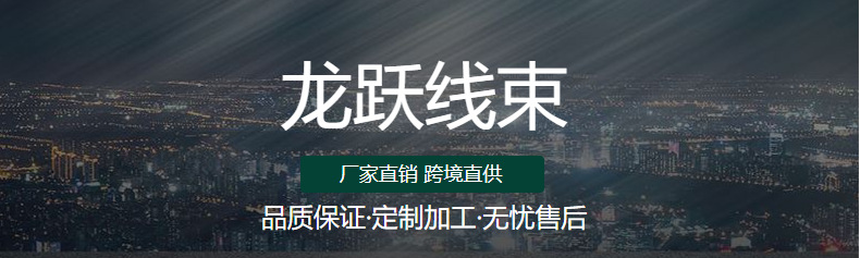 适用于福特蒙迪欧发动机喷油管 燃油管 回油管 泄压管6C1Q9K022AG-阿里巴巴