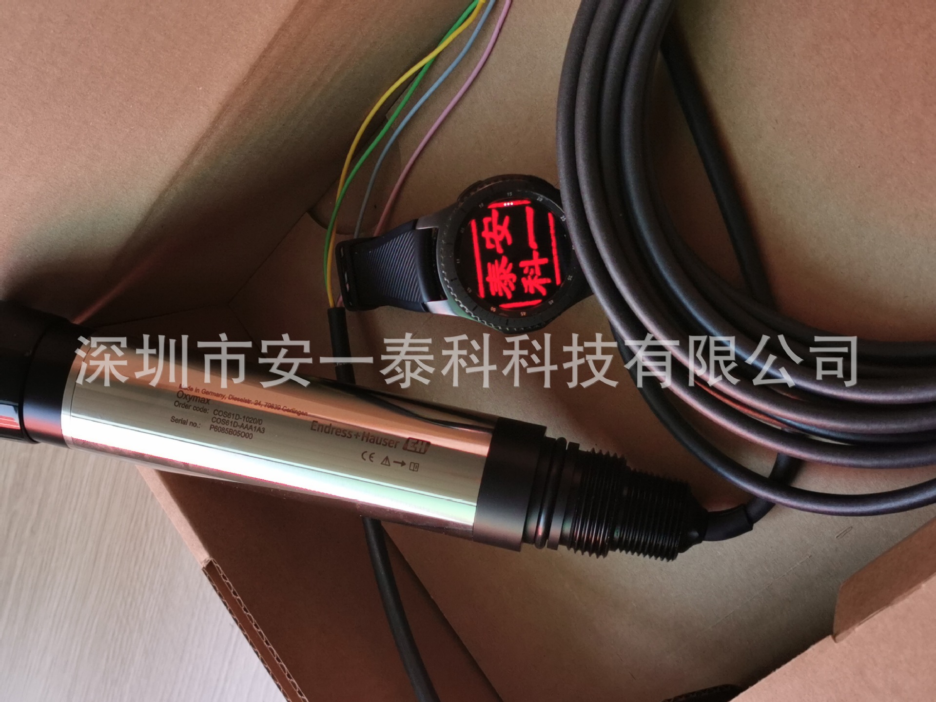 COS61D-AAA1A3原装E+H/恩德斯豪斯溶解氧探头COS61D-1020/0溶氧仪-阿里巴巴