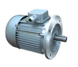 TianYang电机 YS90S4 马达 YS8024 0.75KW Tian yang牌電機-阿里巴巴