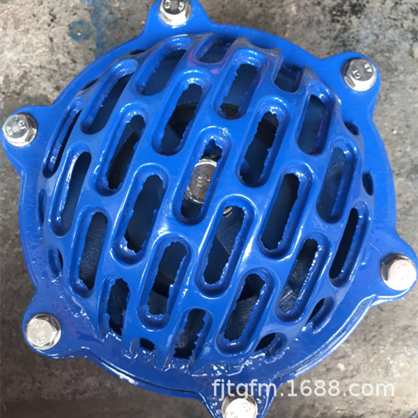 H42X-10Q法兰底阀水泵抽水底阀泉州质启球墨铸铁法兰底阀DN50-300-阿里巴巴