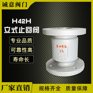 法兰立式止回阀H42H-16C消声单向阀铸钢升降式逆止阀温州厂家-阿里巴巴