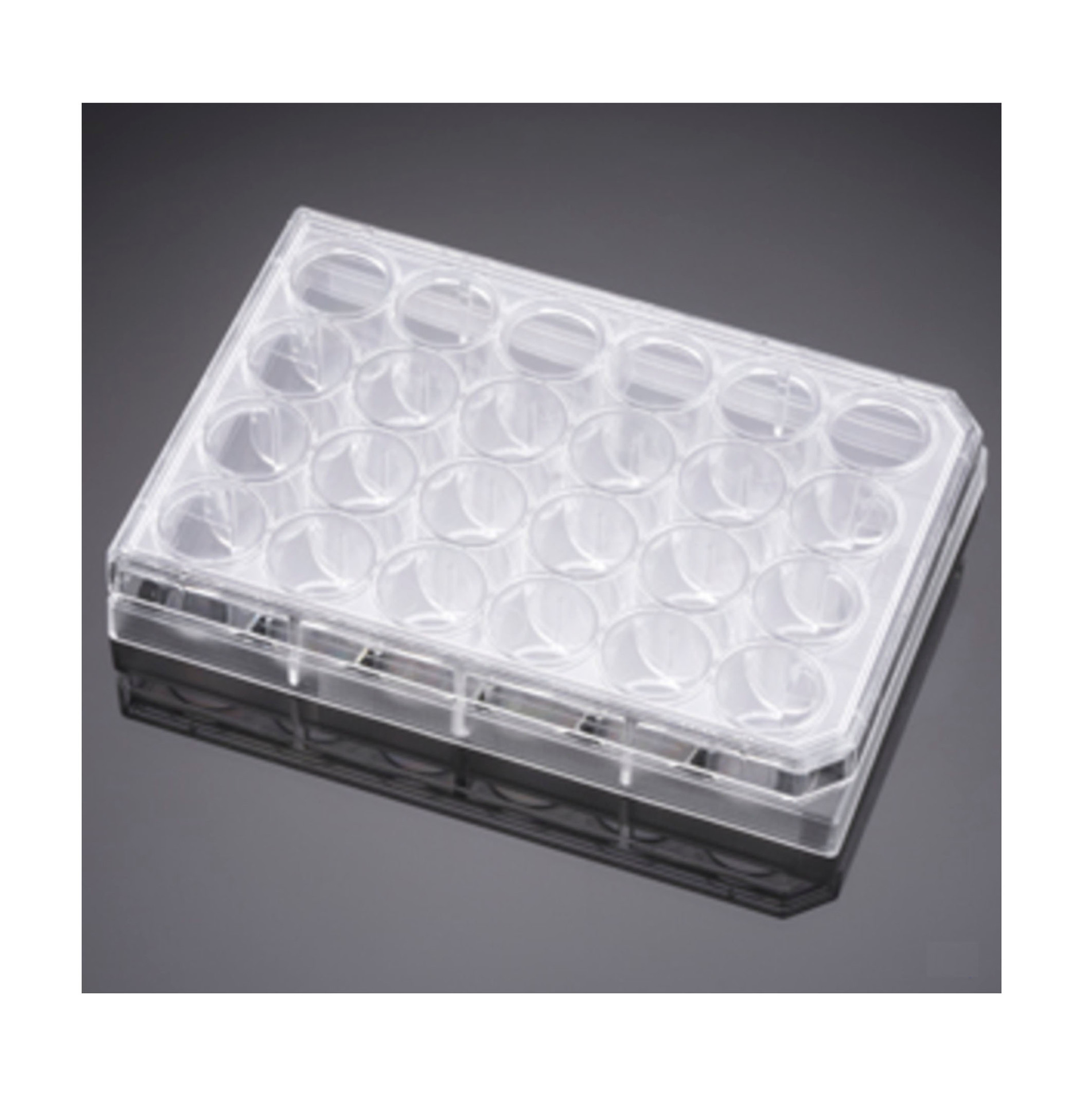 Falcon353504 24孔板细胞培养小室TC处理细胞聚苯乙烯带盖，无*-阿里巴巴