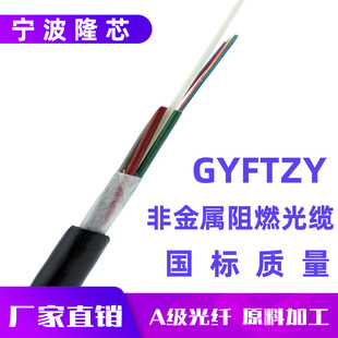 厂家GYFTZY-24B1 室外24芯单模光纤 非金属阻燃光缆 导引引入光缆-阿里巴巴