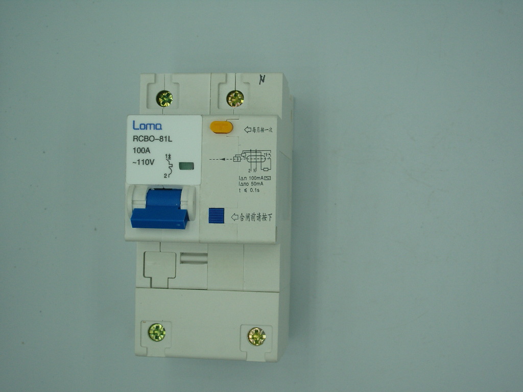 RB RCB RCD 100V 110v 120v ELE RCCB RCBO漏电断路器100A 240v-阿里巴巴