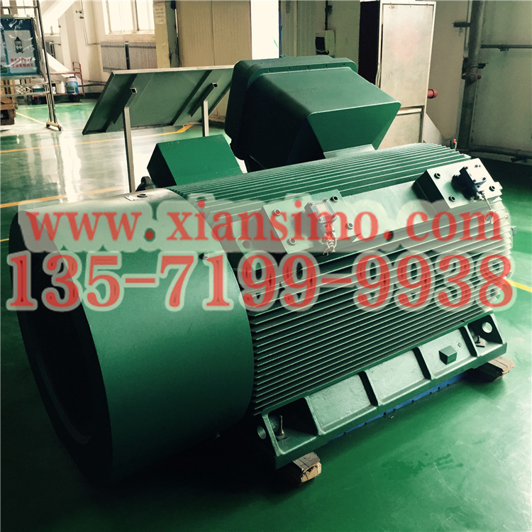 西玛电机YB2-4504-4 710KW 6KV IP54 ExdⅡBT4 Gb隔爆型防爆电机-阿里巴巴