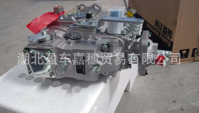 4063968 康明斯喷油泵(ZEXEL)柴油泵/高压油泵 适用于杰克赛尔-阿里巴巴