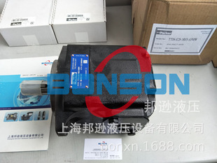PARKER/派克，DENISON叶片泵,T7DS E28 1R03 A5MW,054-50627-503S-阿里巴巴