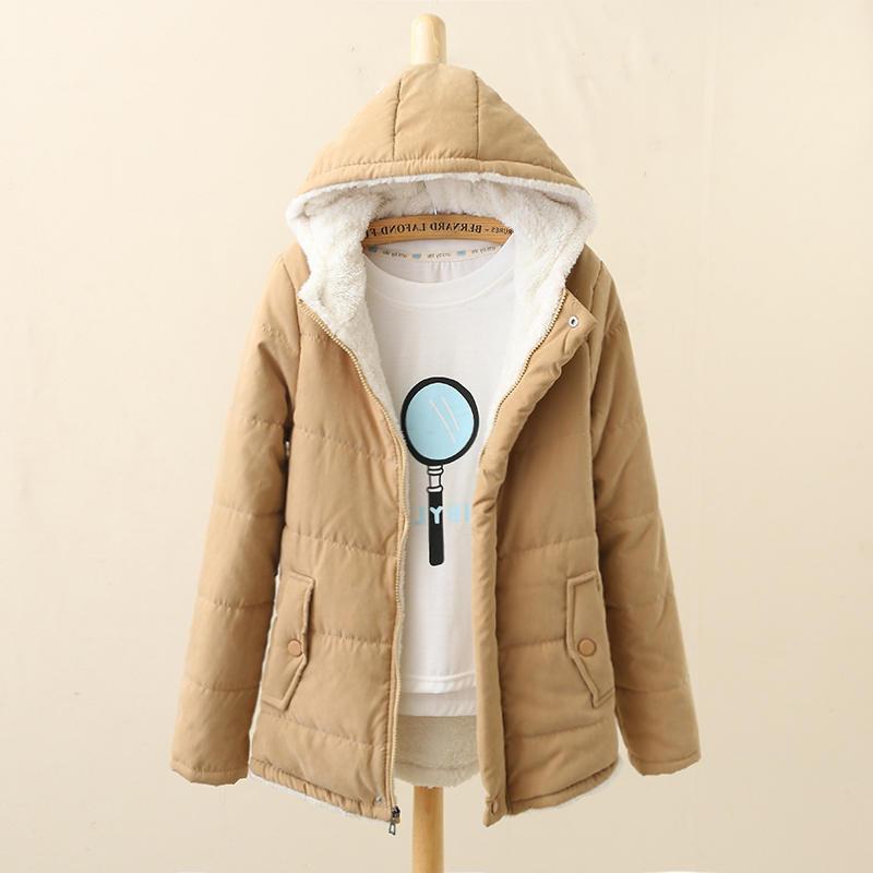 2022 Autumn And Winter New Plush Thickened Korean Hooded Cotton Padded ...