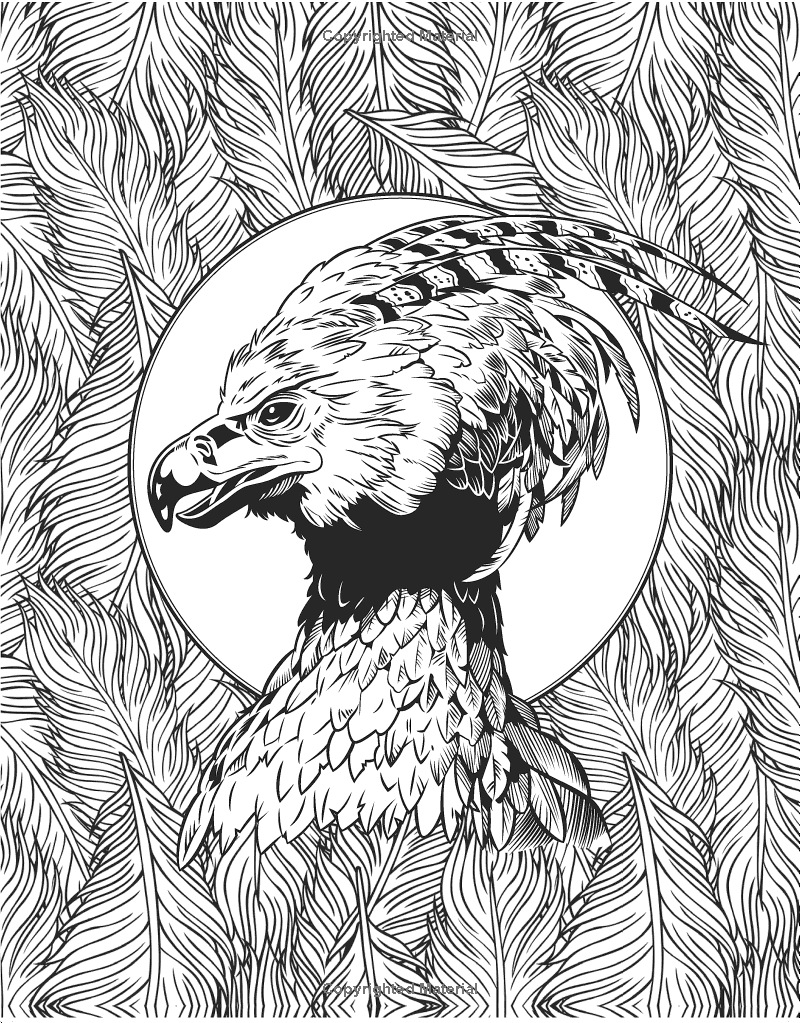 英文版harry potter哈利波特涂色书成人减压解压填色书涂鸦绘画本-阿里巴巴