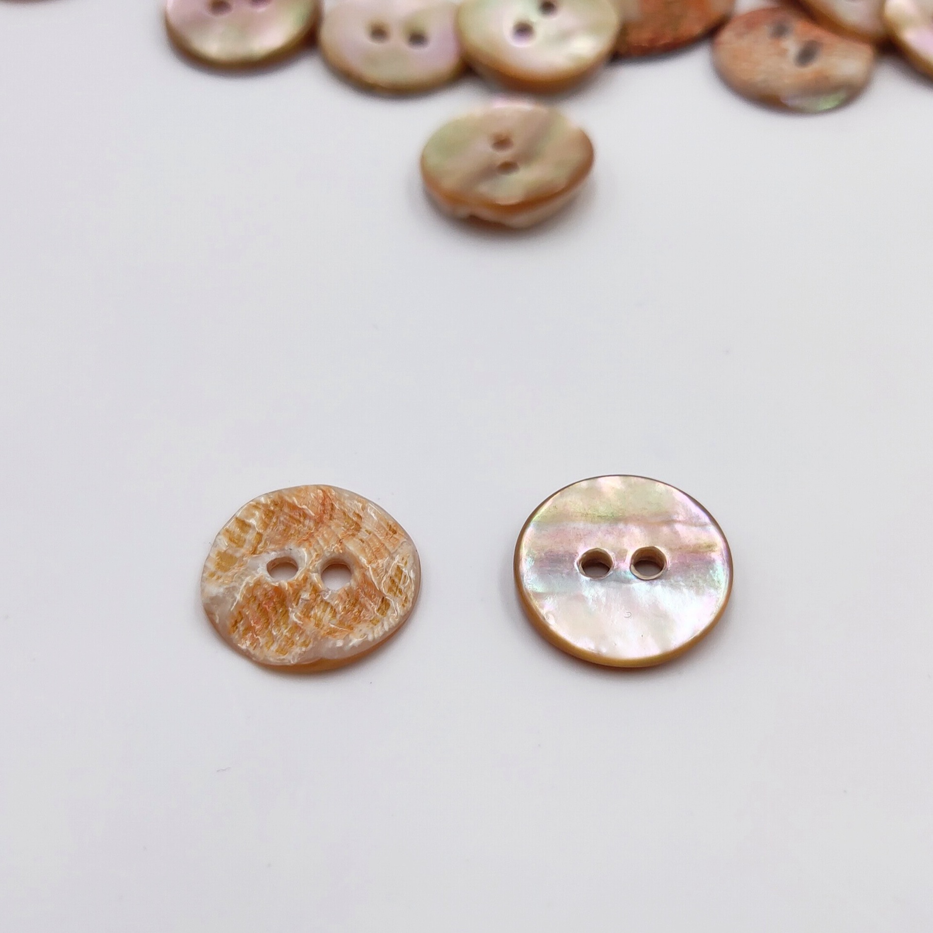 High-grade Natural Australian Abalone Shell Button Natural Color Two ...