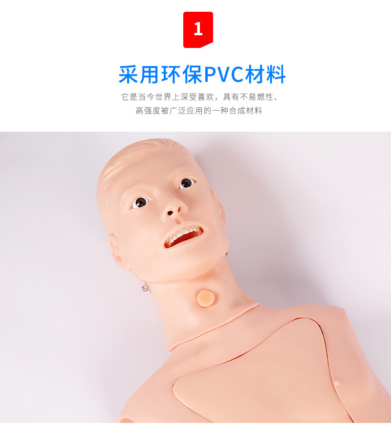 Advanced Nasogastric & Tracheal Care Model – Stomach & Tracheal Tube ...