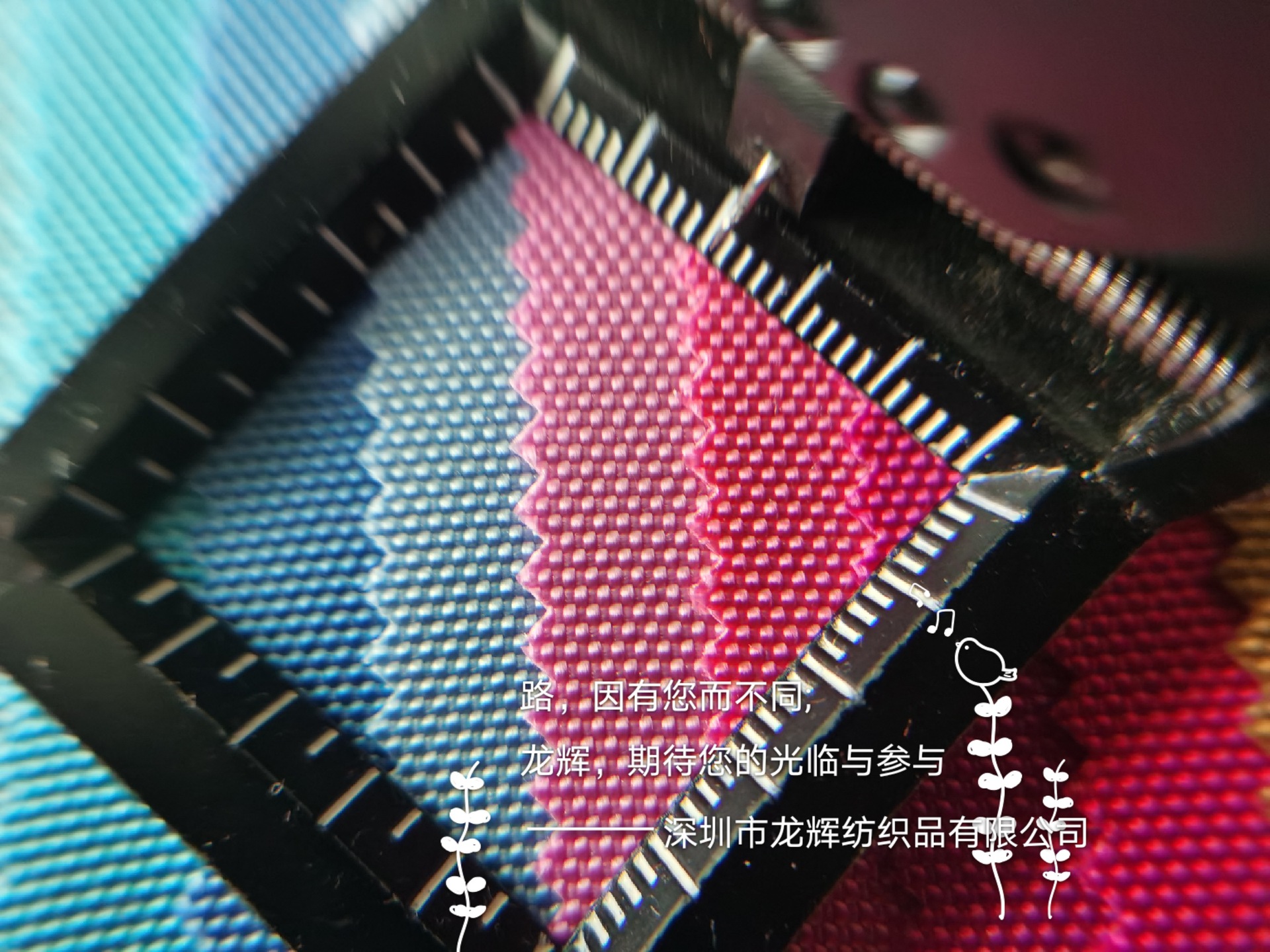 900d是什么意思有多厚,奥利给是什么意思,这是什么_大山谷图库