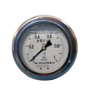 雷尔达YN-100ZT轴向带边耐震压力表0-0.6 1 1.6 40MPA抗震油压表-阿里巴巴