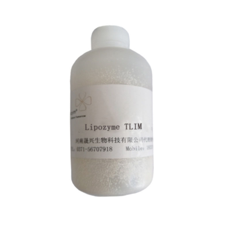 代理诺维信脂肪酶 Lipozyme TLIM 固定化脂肪酶质量保证100g起订-阿里巴巴