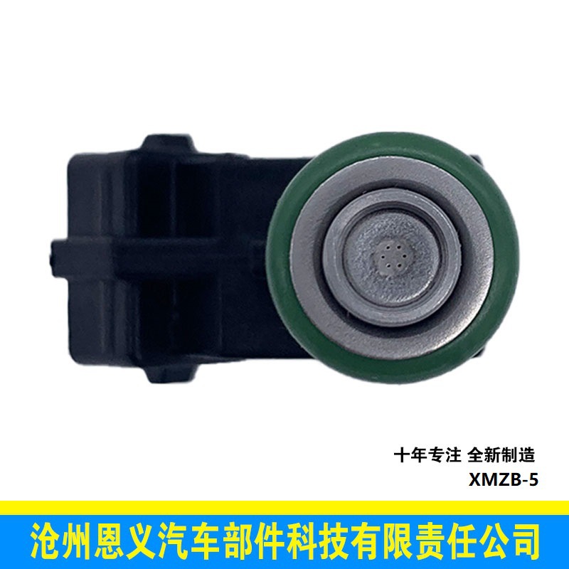 汽车喷油器 汽油喷油嘴 发动机配件 5WY2817A 适用于新标志405-阿里巴巴