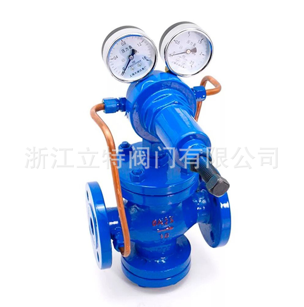 厂家销售 YK43X-F-16C/25C 先导式活塞减压阀 空压机气体减压阀-阿里巴巴