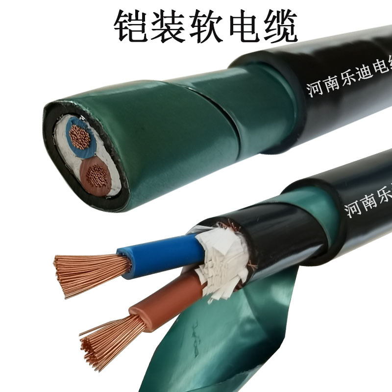 RVV22 2X2.5平方铠装软电缆za-kvvr22 纯铜电源控制线rvvz通讯线-阿里巴巴