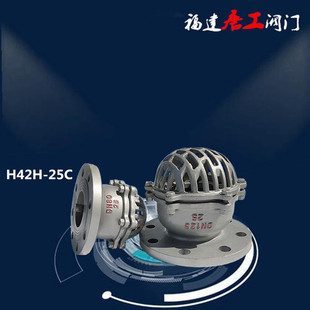 福建唐工WCB铸钢法兰底阀 H42H-6/16/25C水泵吸水逆止阀 碳钢底阀-阿里巴巴